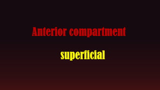 Upper limb muscles ( anatomy - muscles). | PDF