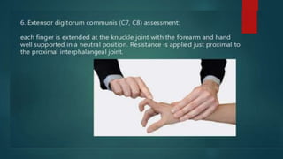 Upper limb nerve examination | PPTX