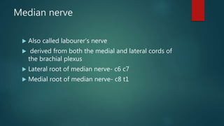 Upper limb nerve examination | PPTX