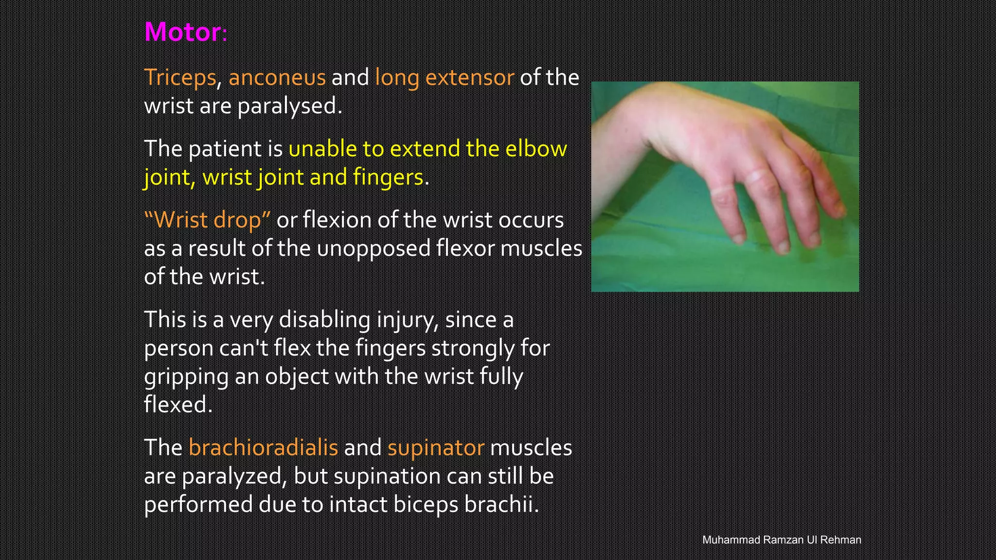 Upper limb nerve injuries | PPT