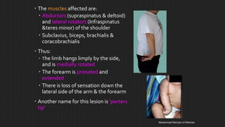 Upper limb nerve injuries | PPT
