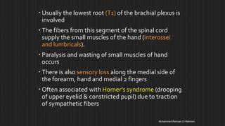 Upper limb nerve injuries | PPT