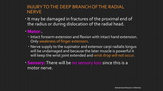 Upper limb nerve injuries | PPT