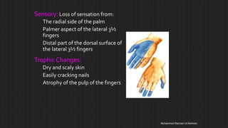 Upper limb nerve injuries | PPT