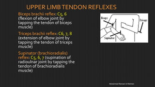 Upper limb nerve injuries | PPT