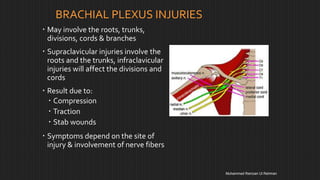 Upper limb nerve injuries | PPT