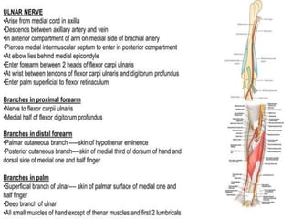 Upper Limb Nerve Injuries and applied aspect.pptx