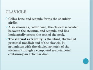UPPER LIMB osteology pt1 anatomy for finals.pptx