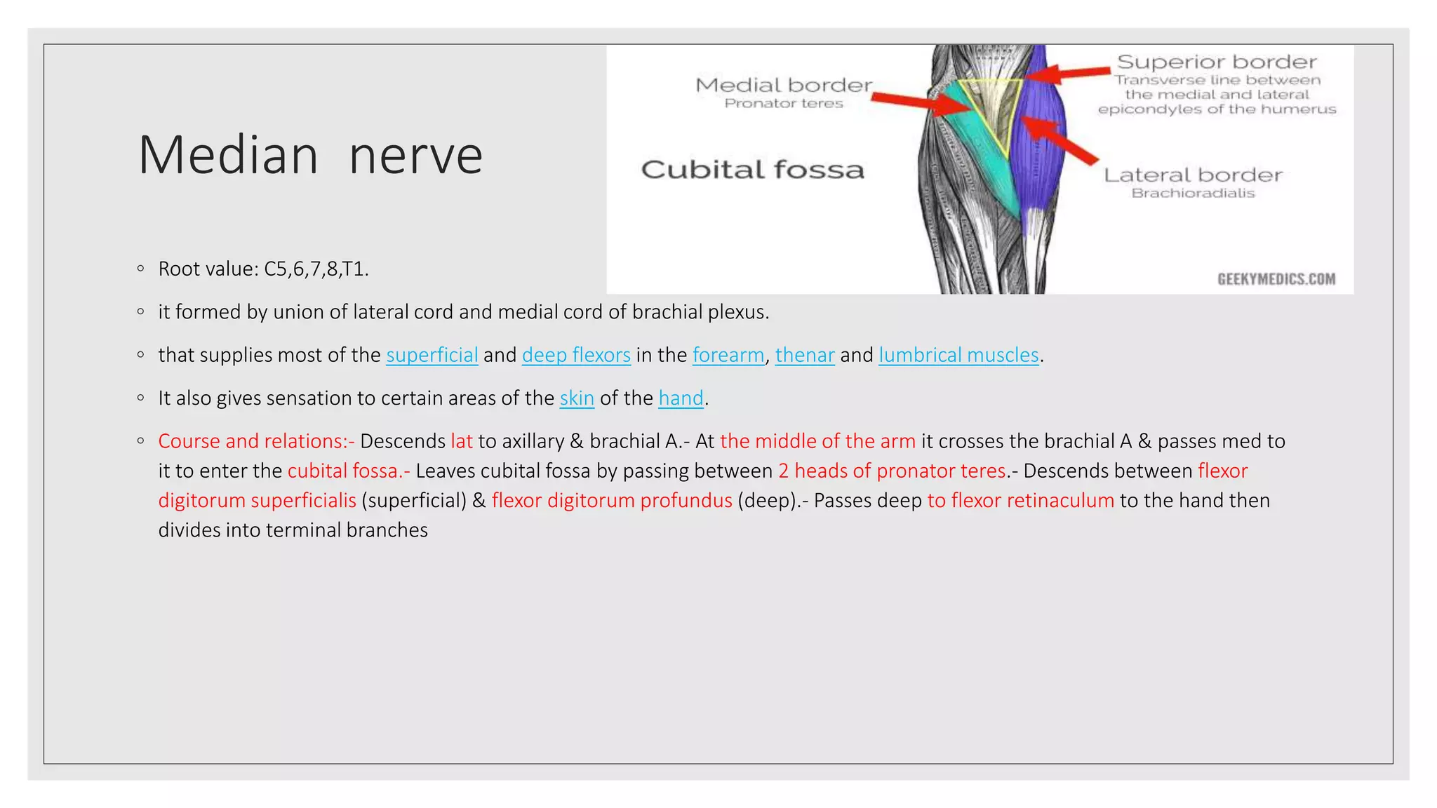 Upper limb peripheral neuropathy.pptx