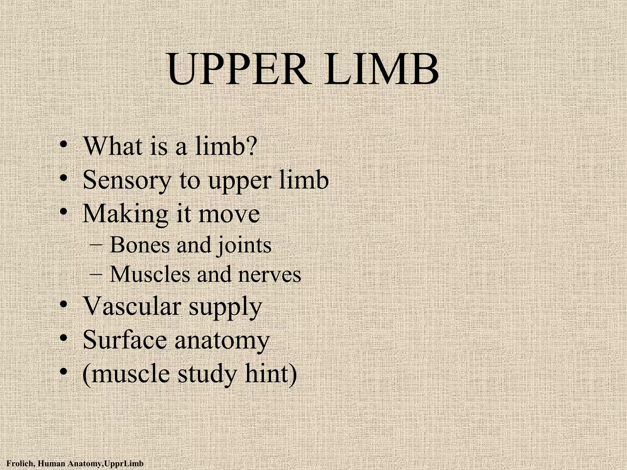 Upper limb ppt | PPT
