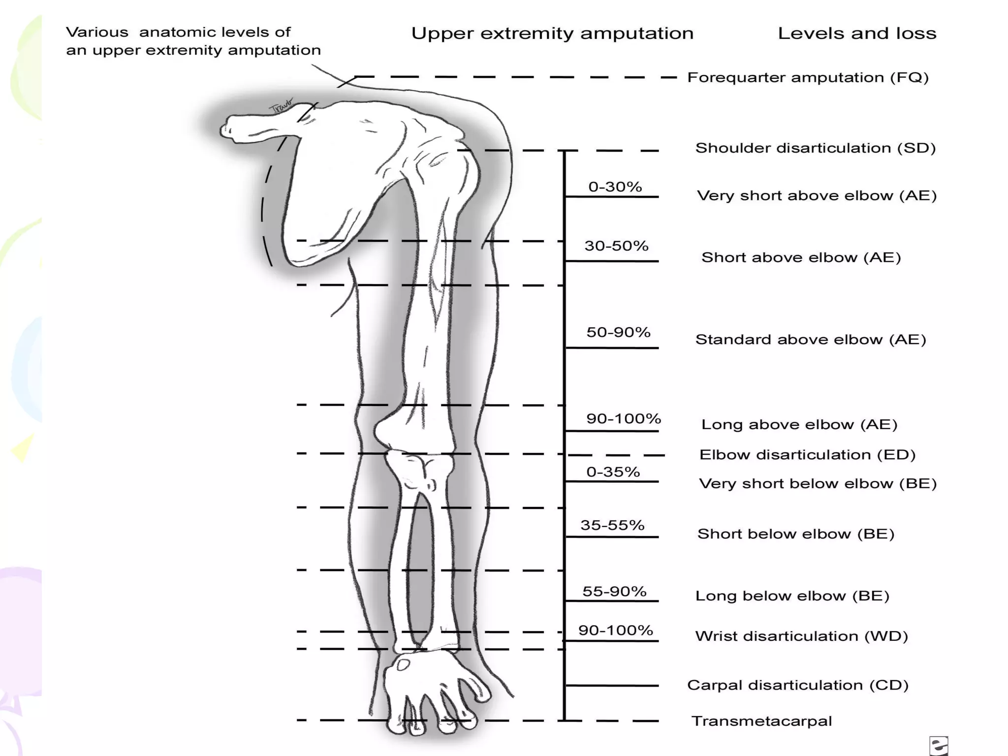 Upper limb prosthesis (pmr) | PPT