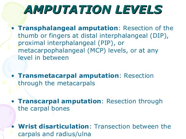 Upper limb prosthesis (pmr)