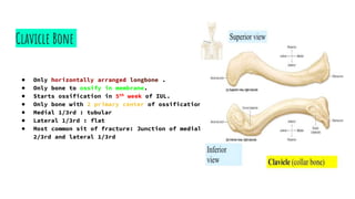 Upper limb trauma ( clavicle & shoulder fracture) | PPT