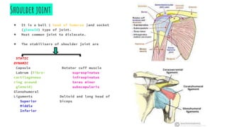 Upper limb trauma ( clavicle & shoulder fracture) | PPTX