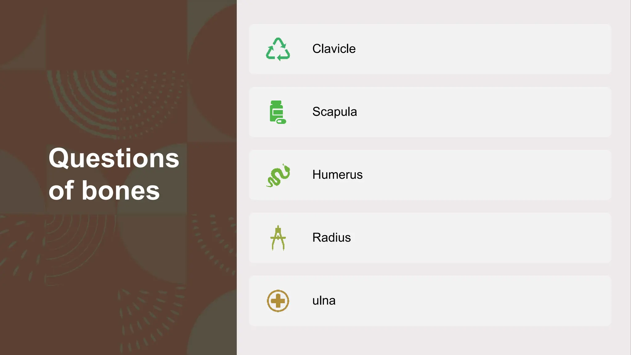 upper limb very importants including bones .pptx