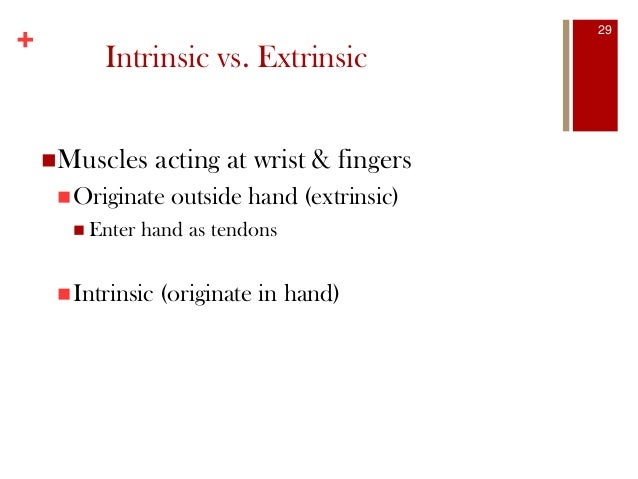 Upper limb (week 2 3)