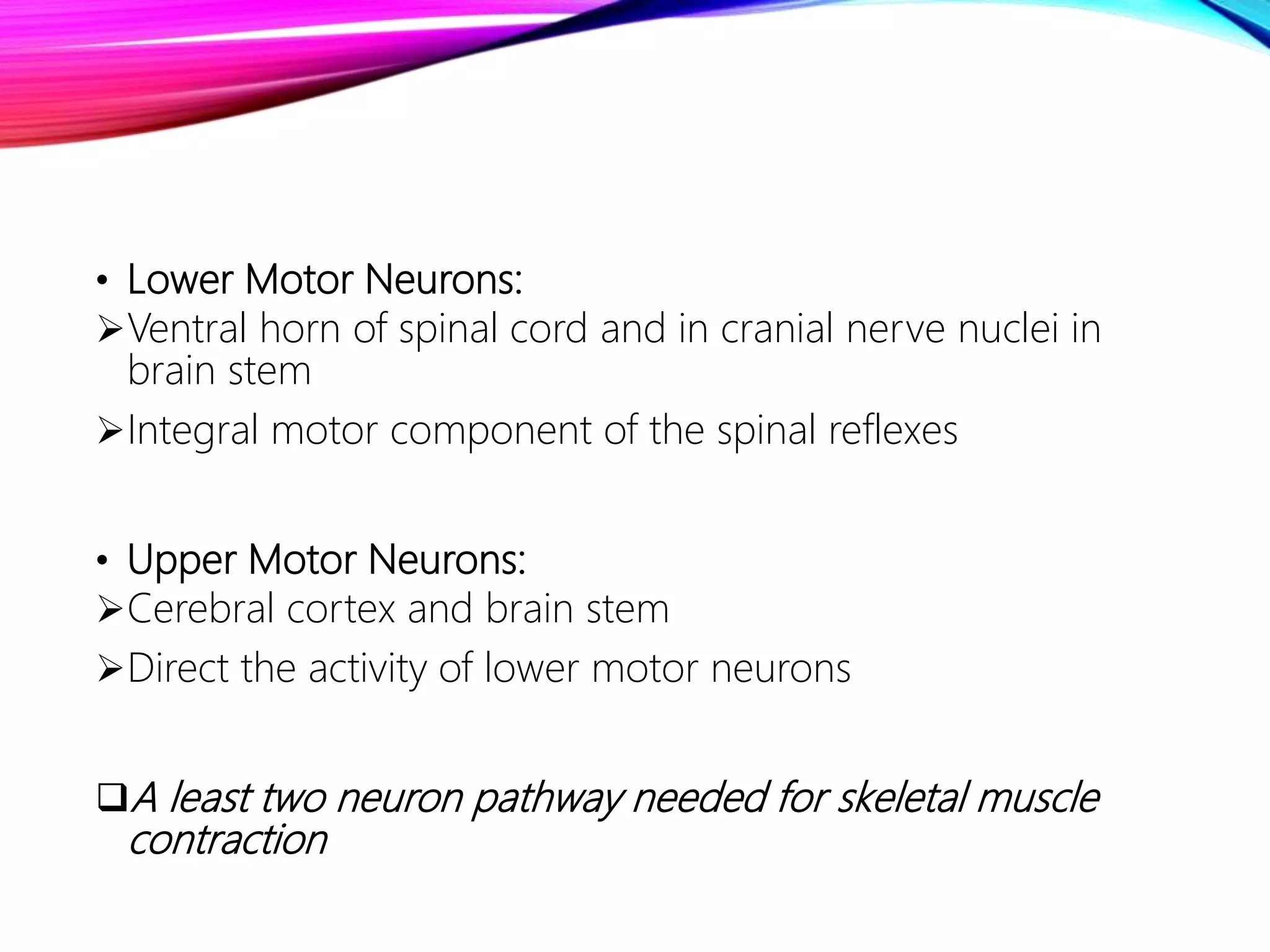 Upper and Lower motor neuron lesions | PPTX