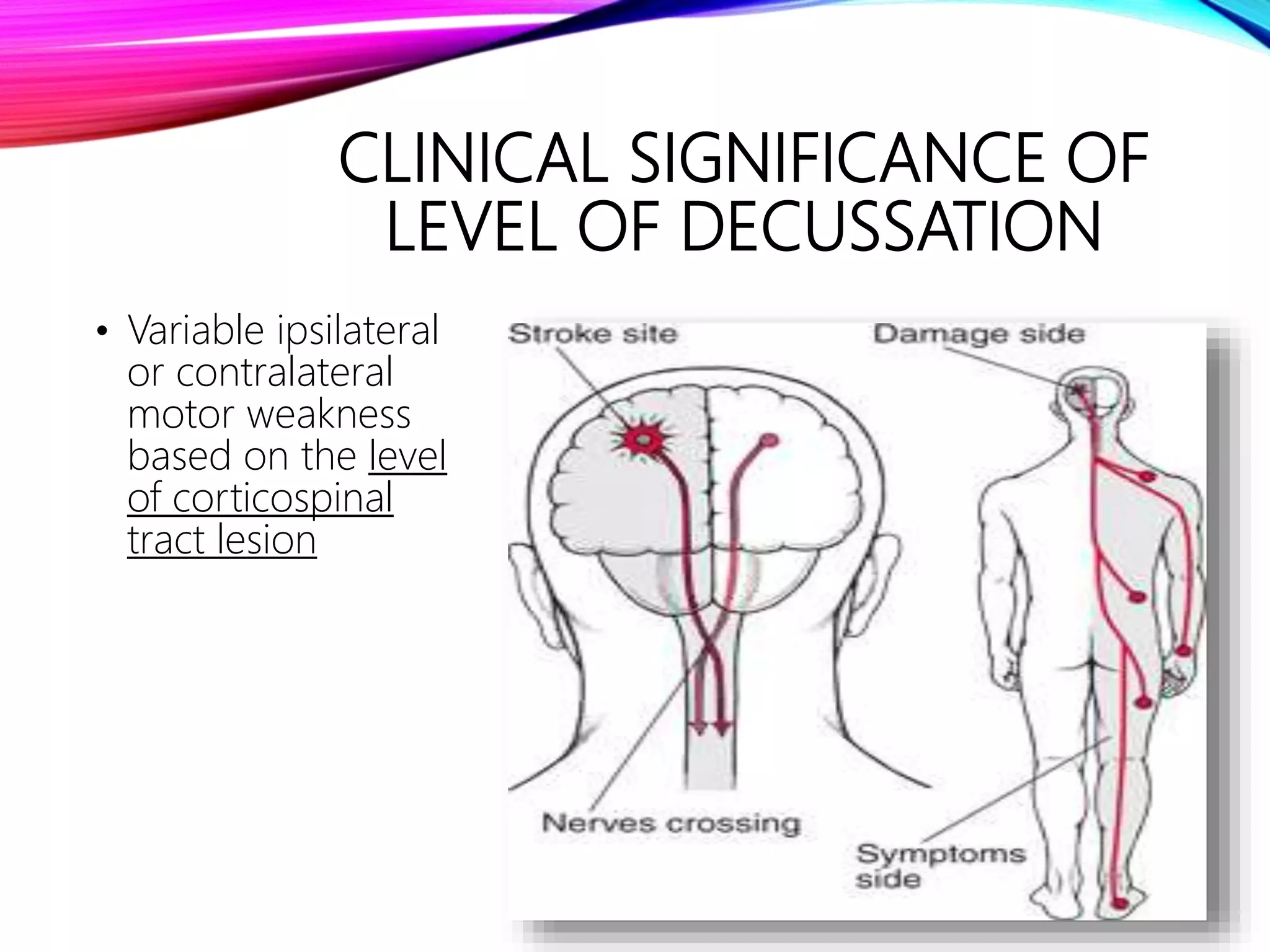 Upper and Lower motor neuron lesions | PPTX