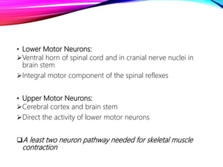 Upper and Lower motor neuron lesions | PPTX