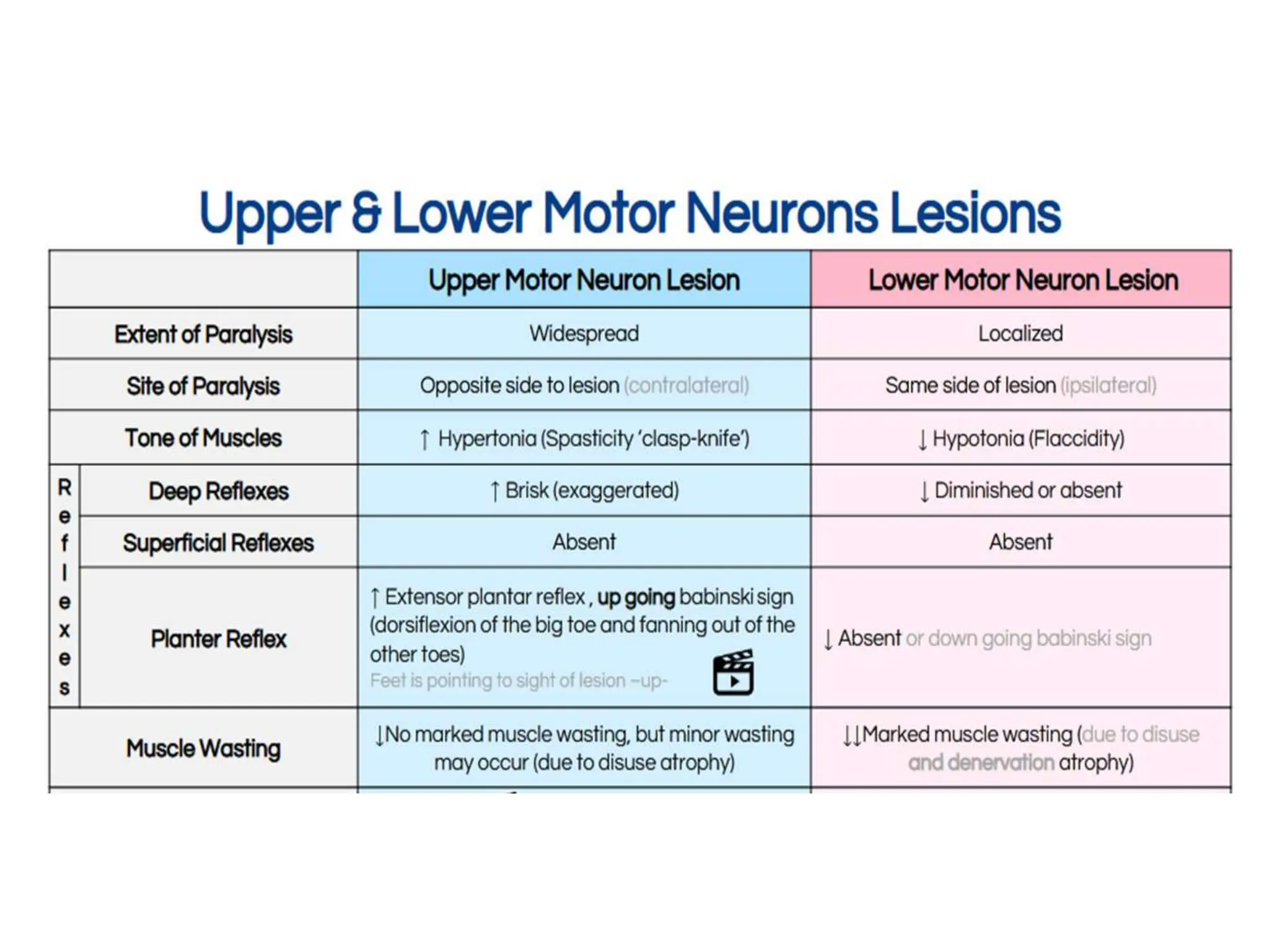 Upper & Lower Motor Neuron Lesions.pptx | Free Download