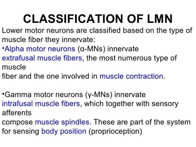 Upper & Lower Motor Neuron Lesions.pptx