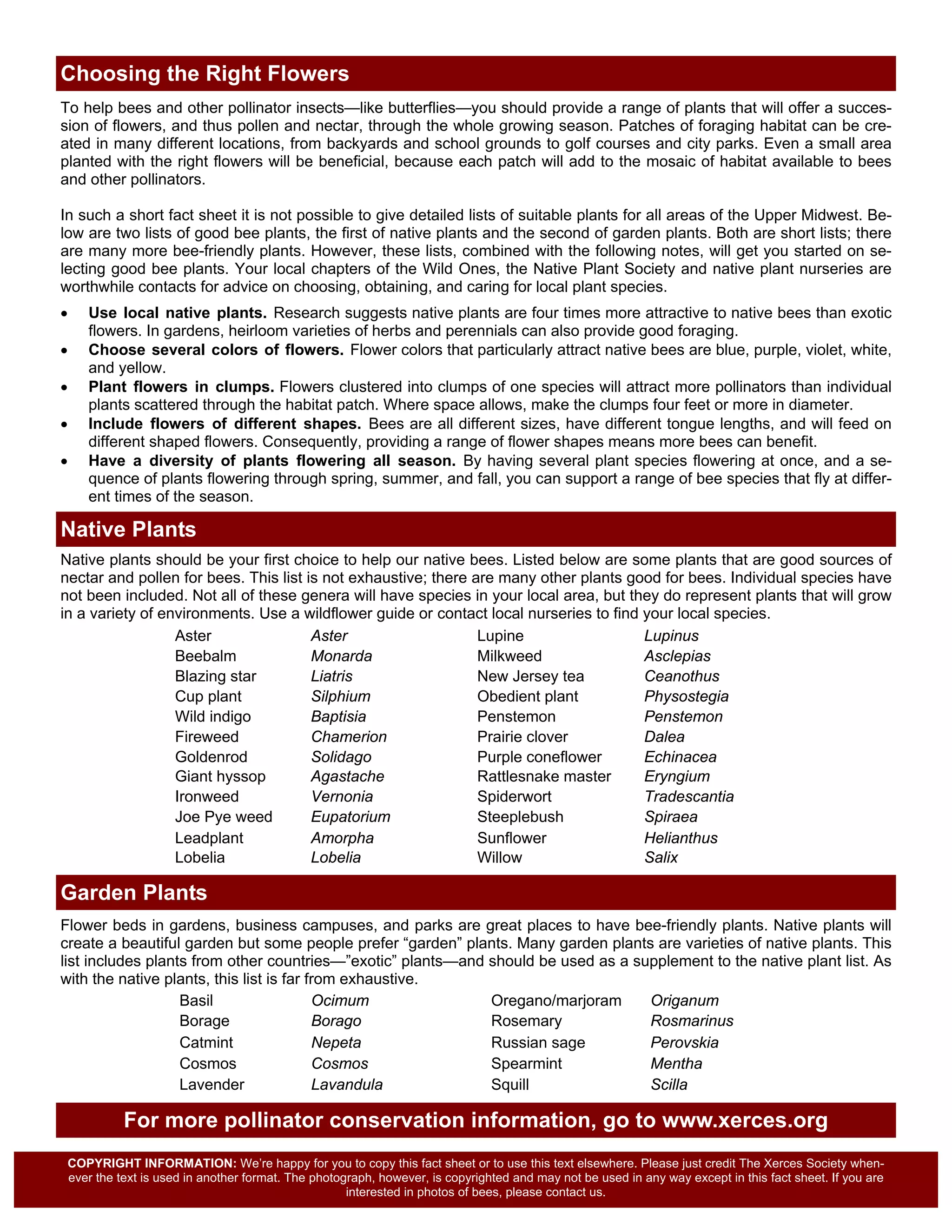 Upper Midwest Plants for Native Bees - the Xerces Society | PDF