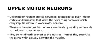 UPPER MOTOR AND LOWER MOTOR LESION .pptx