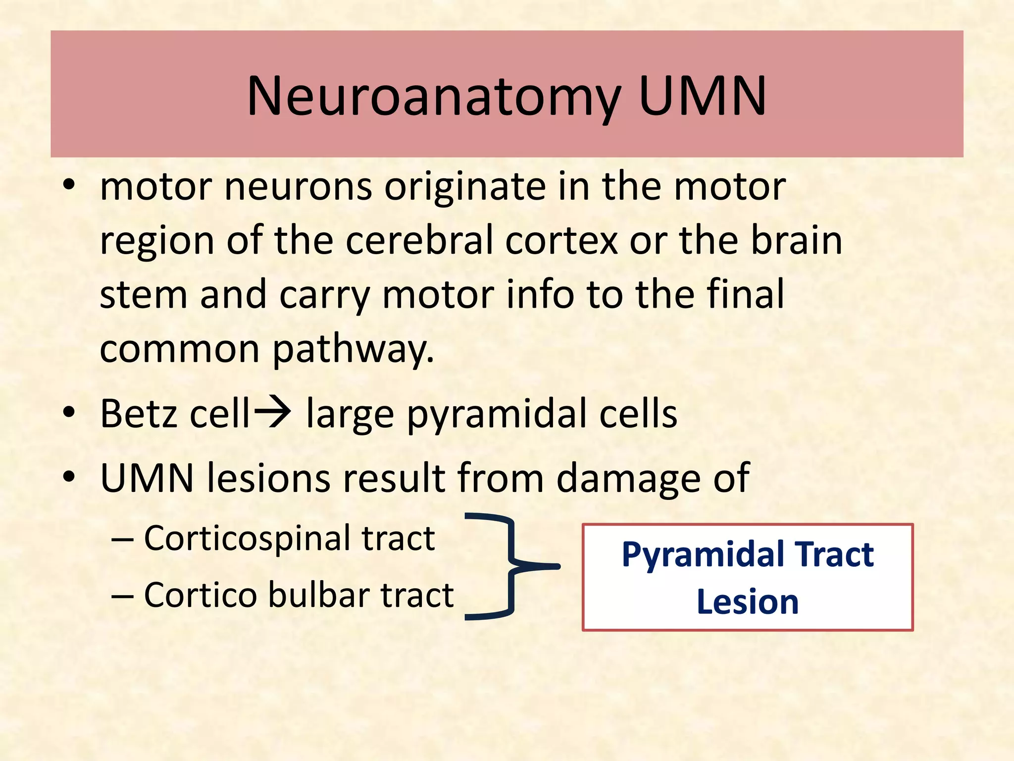 Upper motor neuron | PPTX