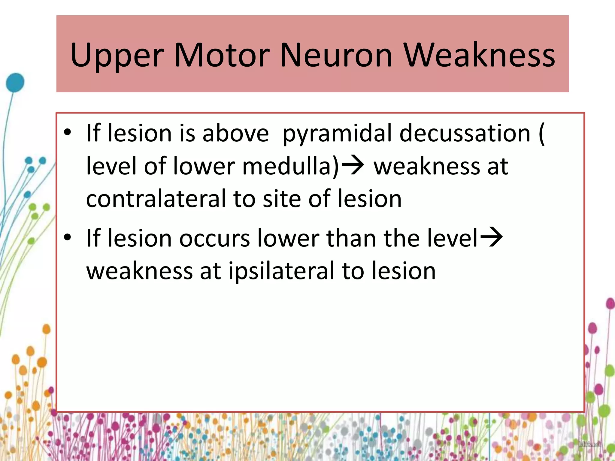 Upper motor neuron | PPTX