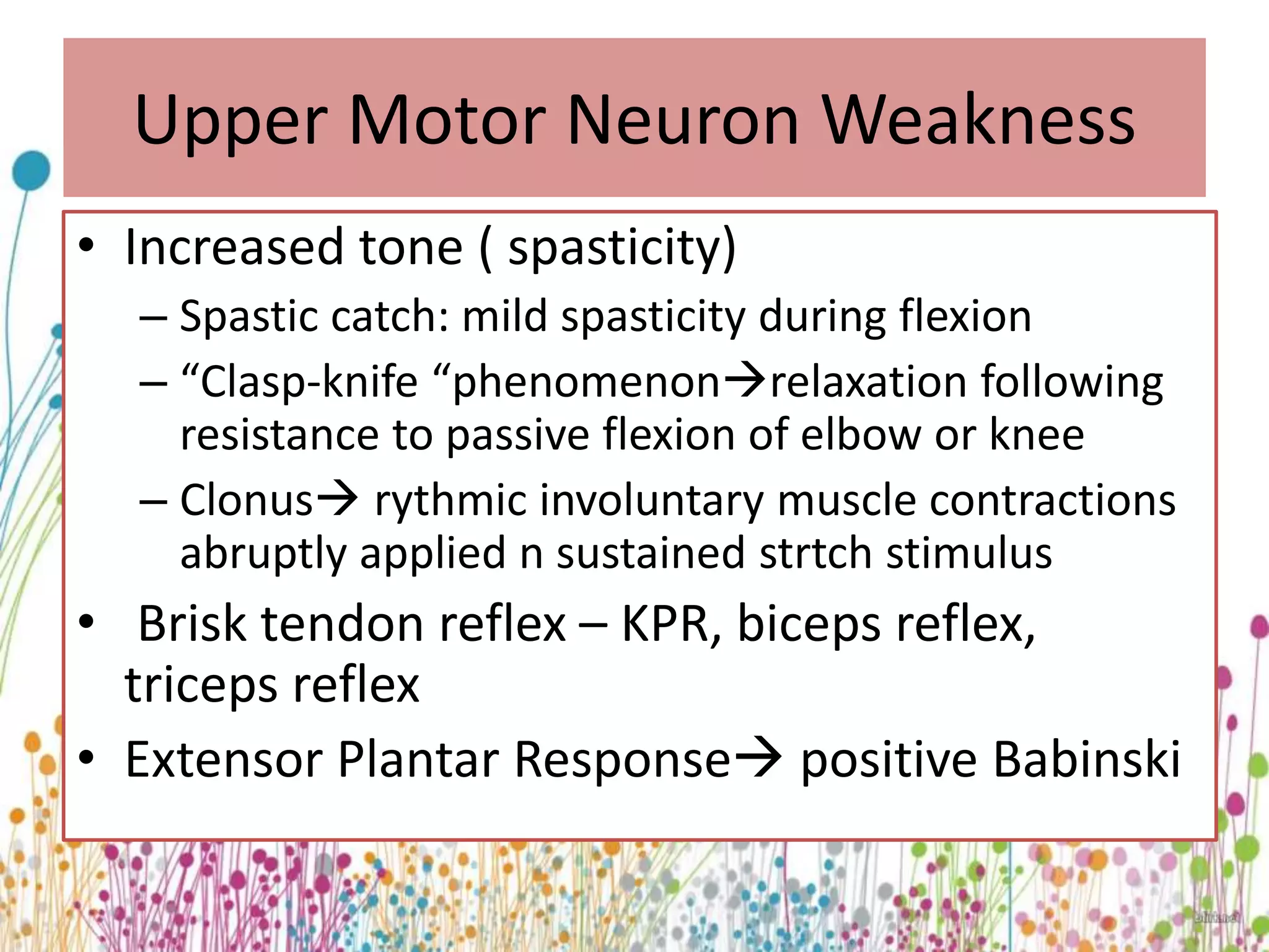 Upper motor neuron | PPTX