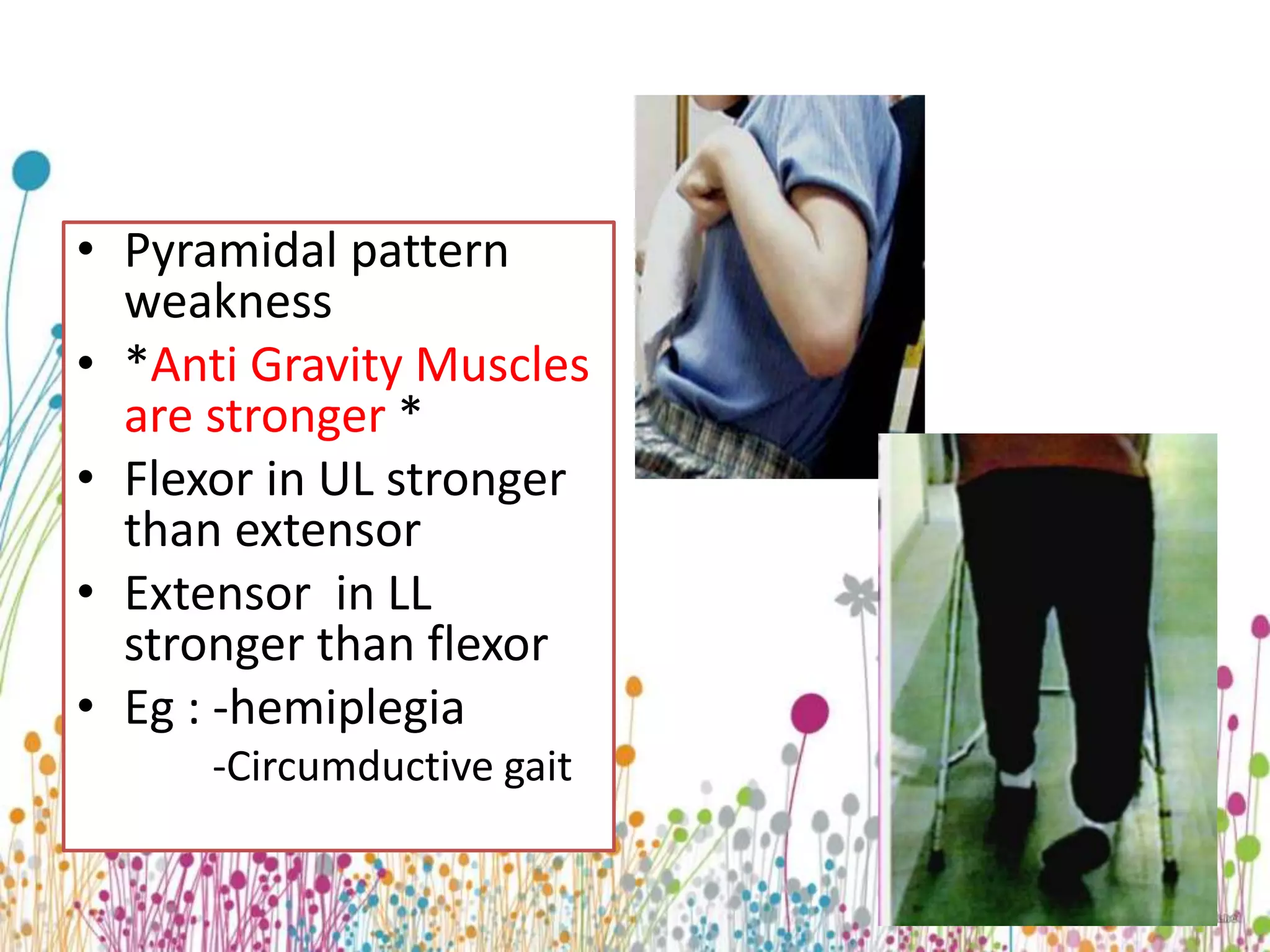 Upper motor neuron | PPTX