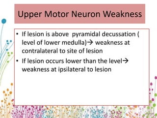 Upper motor neuron | PPTX
