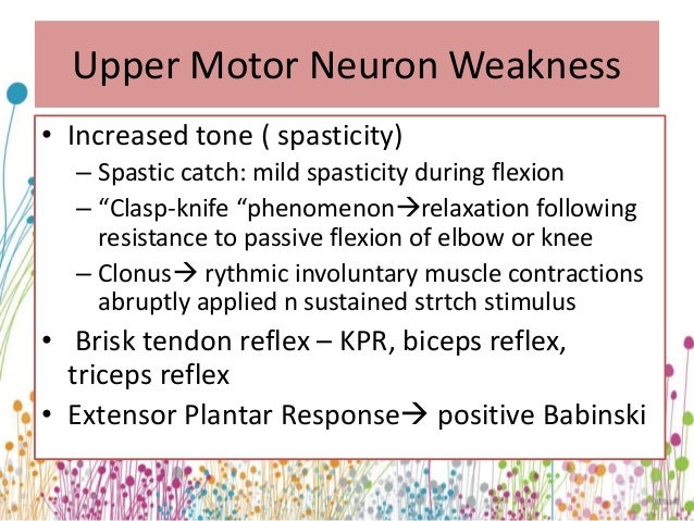 Upper motor neuron