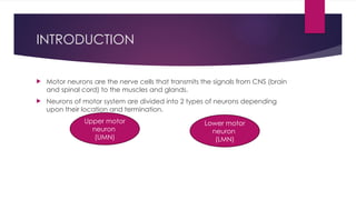 UPPER MOTOR NEURON (UMN) AND LOWER MOTOR NEURON (LMN).pptx