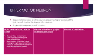 UPPER MOTOR NEURON (UMN) AND LOWER MOTOR NEURON (LMN).pptx