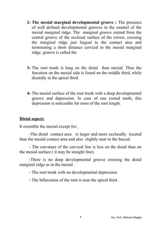 Upper premolars (2) | DOC
