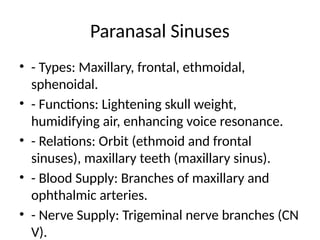 Upper_Respiratory_Tract_Anatomy_Detailed.pptx