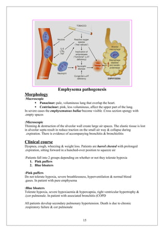 Upper respiratory tract and the lung (1) | DOC