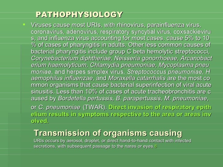 Upper Respiratory Tract Infection Wikipedia