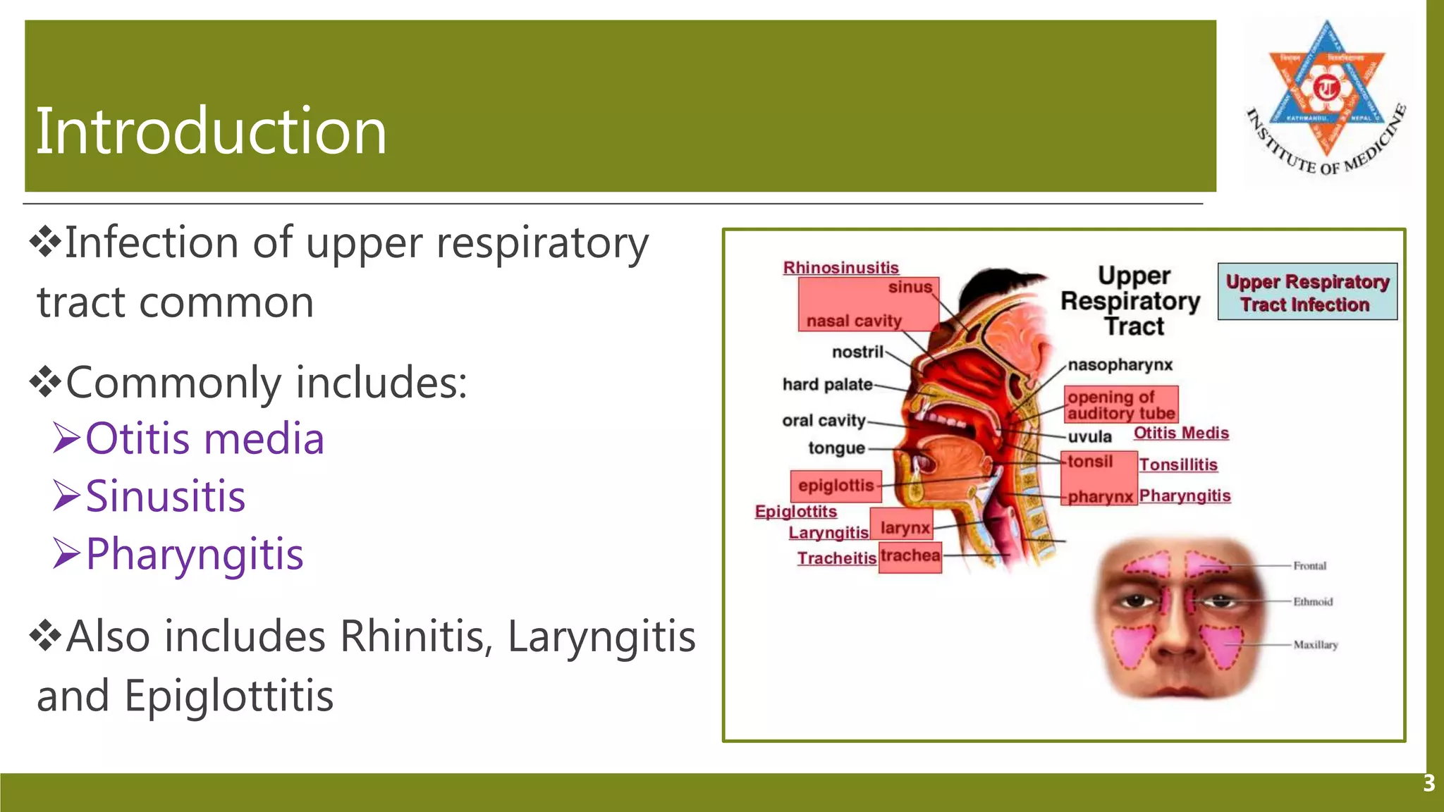 Upper respiratory tract infection pharmacotherapy | PPTX