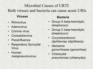 Upper Respiratory Tract Infections | Jindal Chest Clinic | PPTX | Ear ...