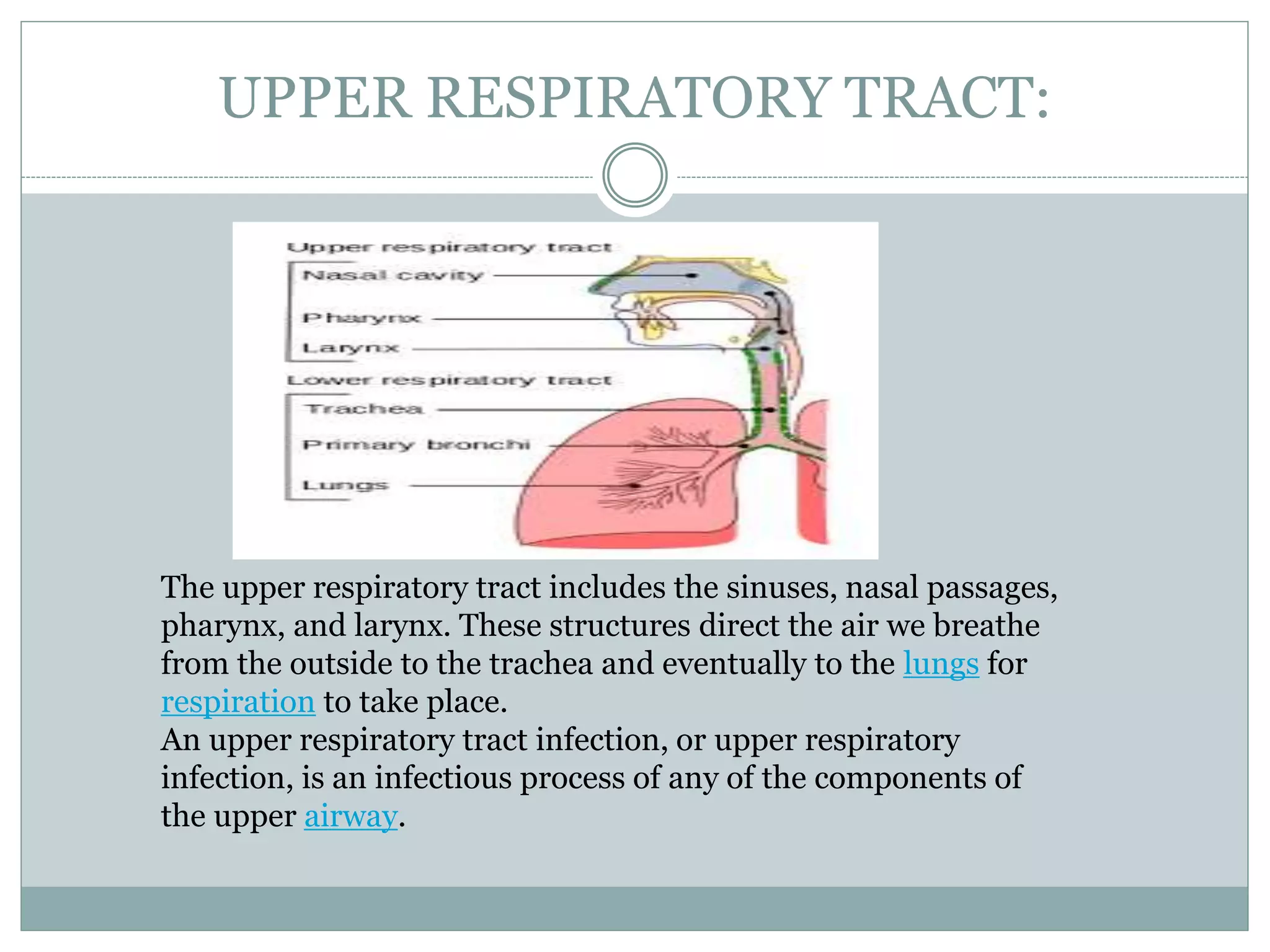 Upper respiratory tract infections | PPTX