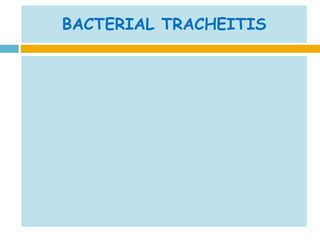 Upper respiratory tract infection in pediatrics | PPTX