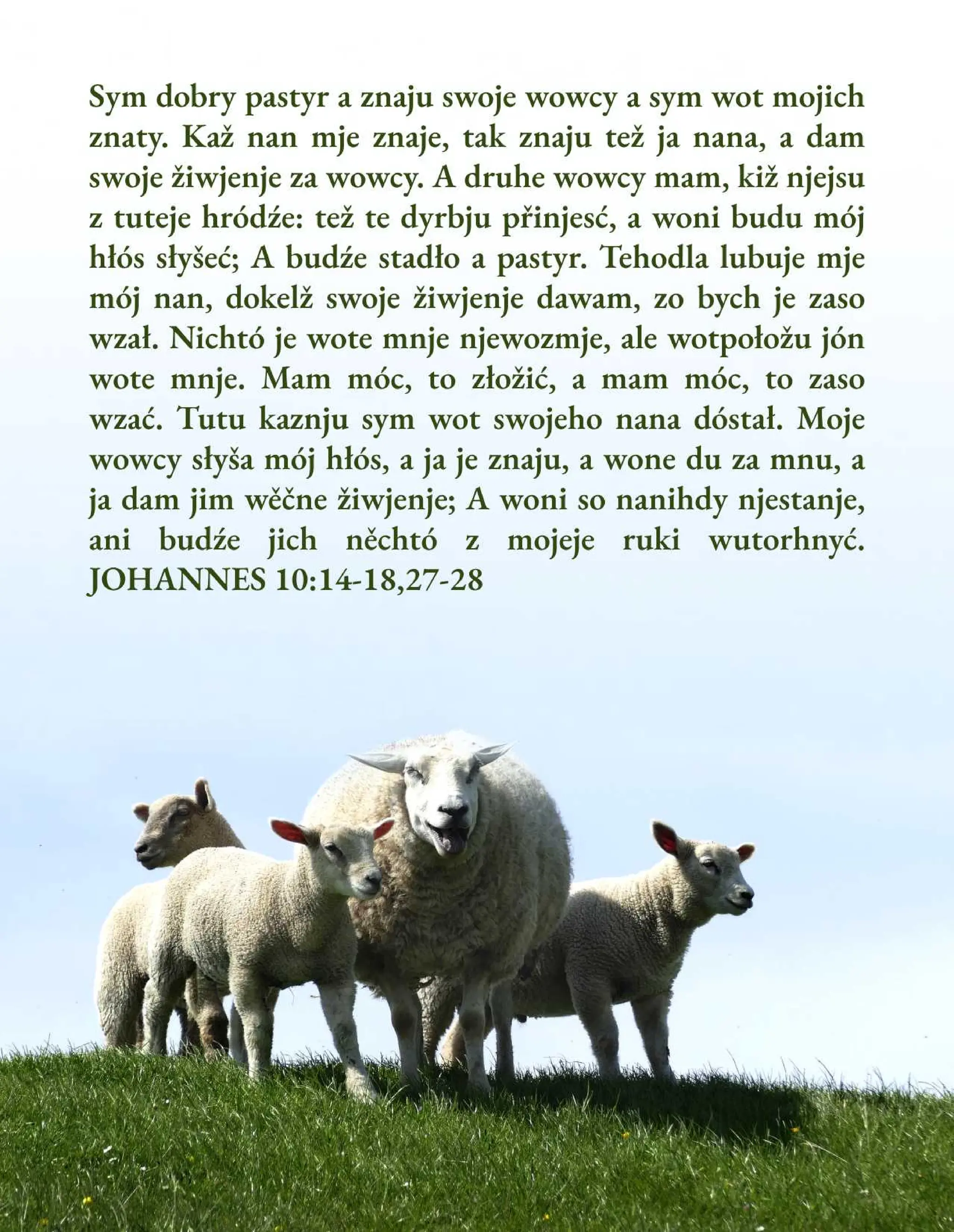 Upper Sorbian - Good Shepherd Gospel Tract.pdf