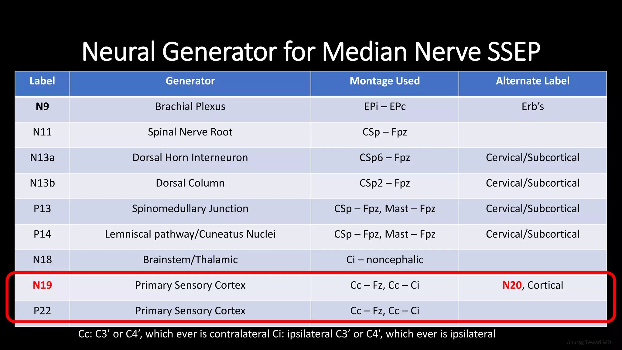 Upper Extremity Somatosensory Evoked Potential (Upper SSEP) | PPTX