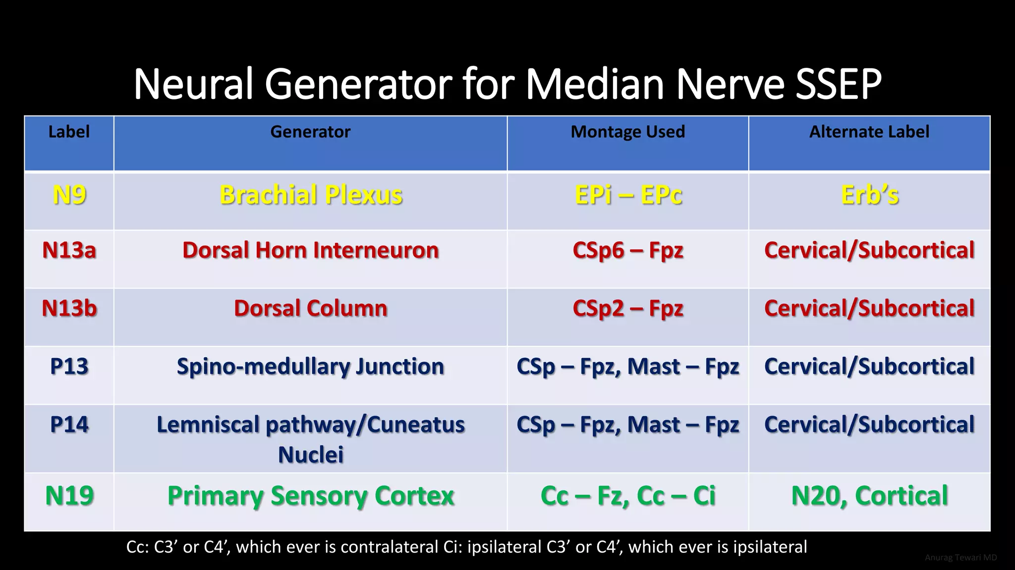 Upper Extremity Somatosensory Evoked Potential (Upper SSEP) | PPTX