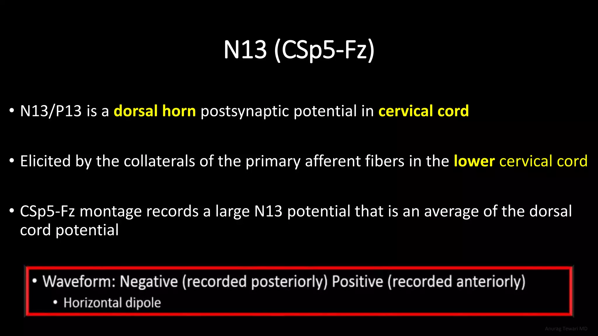 Upper Extremity Somatosensory Evoked Potential (Upper SSEP) | PPTX
