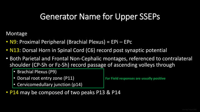 Upper Extremity Somatosensory Evoked Potential (Upper SSEP) | PPTX ...