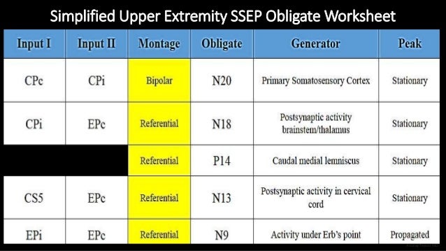 Upper Extremity Somatosensory Evoked Potential (Upper SSEP)