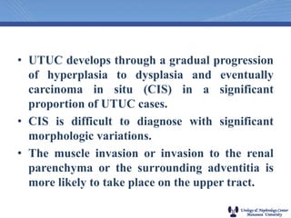 UPPER TRACT UC PRESENTATION.pptx
